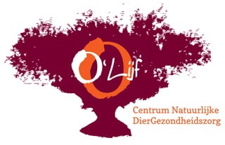 logo olijf definitief kleur | PDF