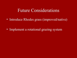 Beef Cattle Genetics and Management Power point | PPT