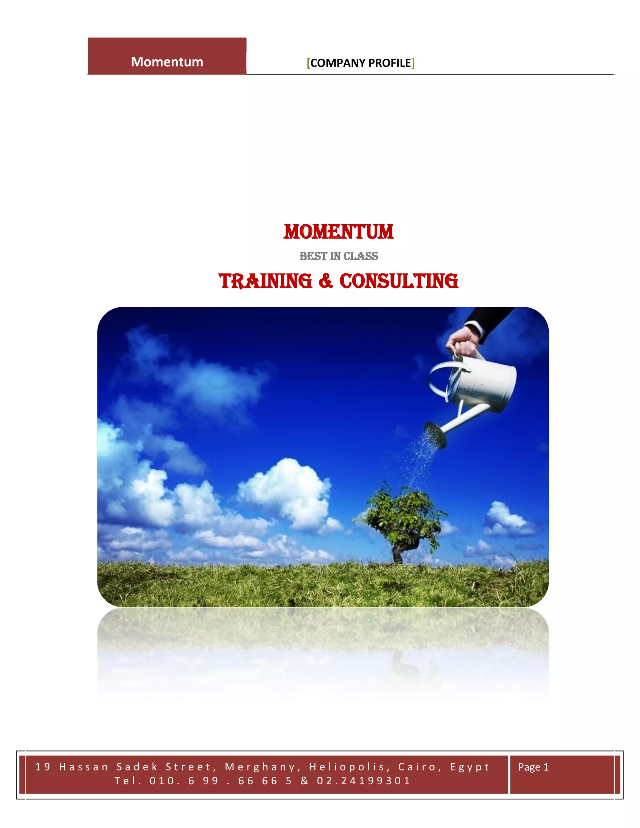 Momentum Company Profile.. | PDF