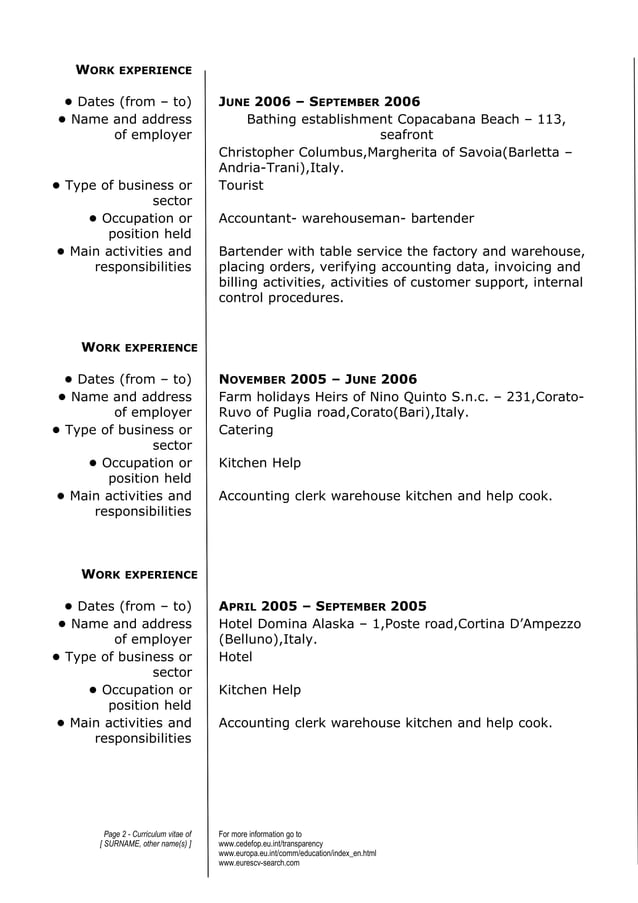 English Cv | PDF