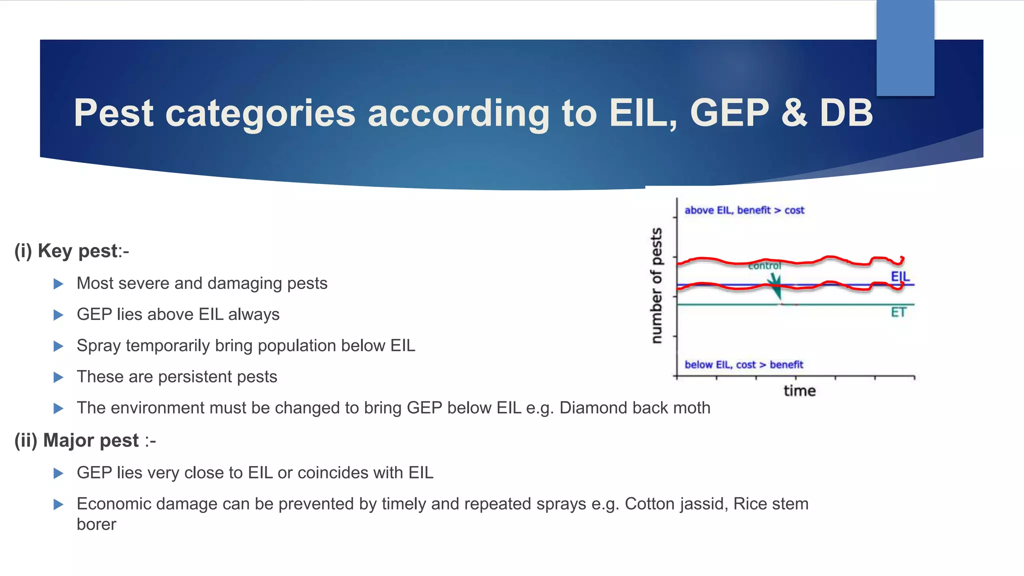 category of insect pest | PPT