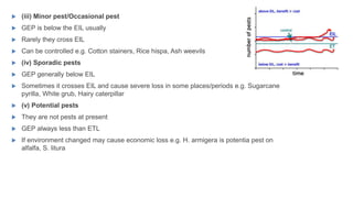 category of insect pest | PPT