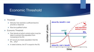 category of insect pest | PPT