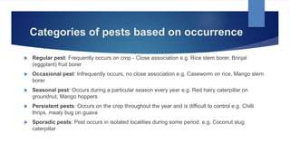 category of insect pest | PPT
