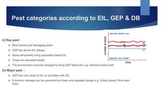 category of insect pest | PPT