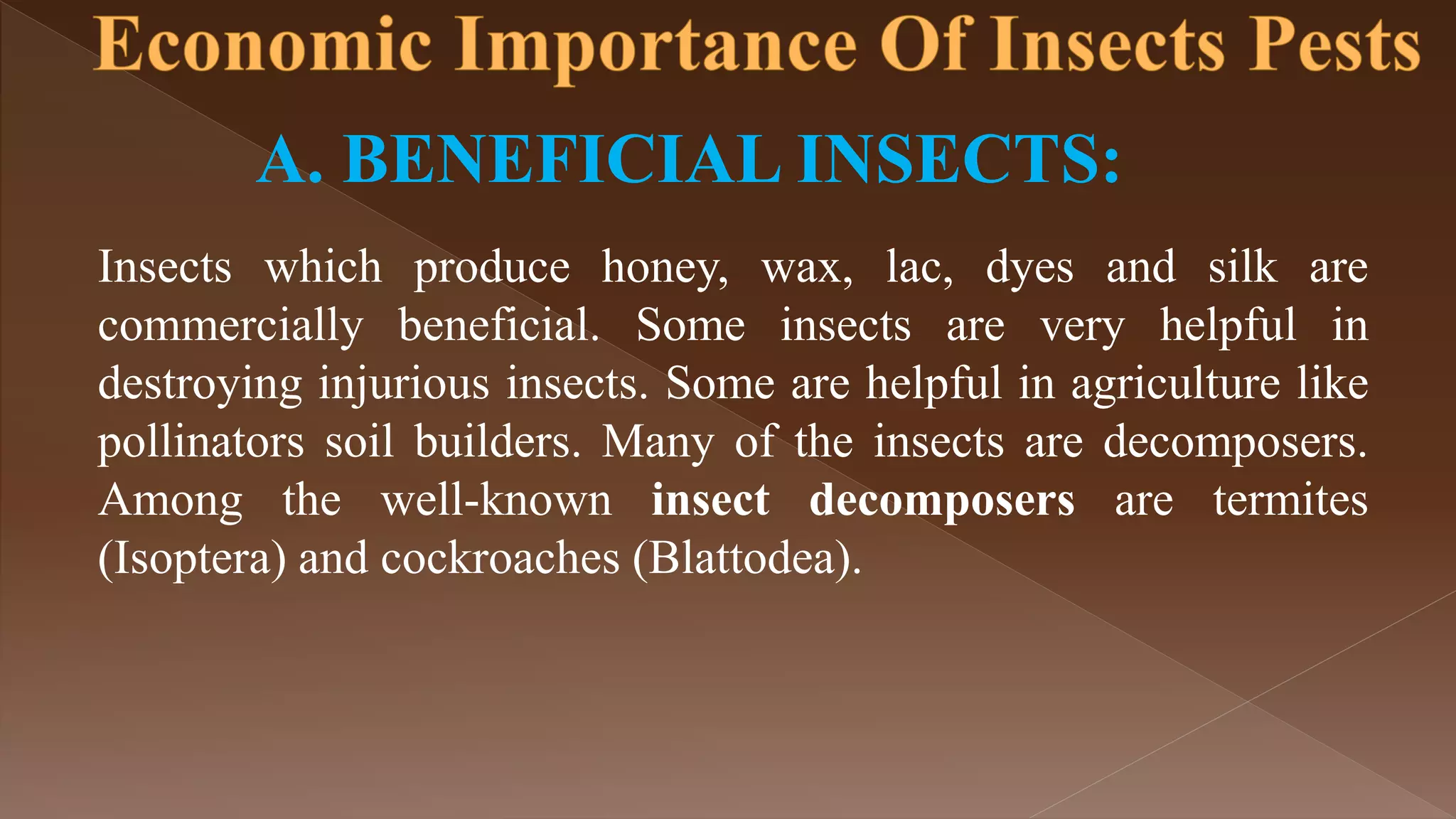 economic importance of insects | PPTX