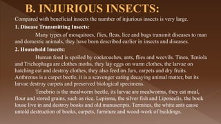 economic importance of insects | PPTX