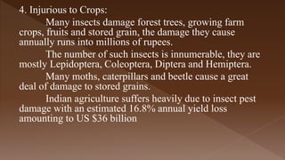 economic importance of insects | PPTX