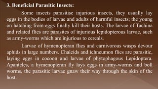 economic importance of insects | PPTX