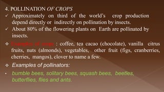 economic importance of insects | PPTX