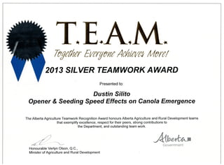 Silver Team Work Award 2013 new | PPT
