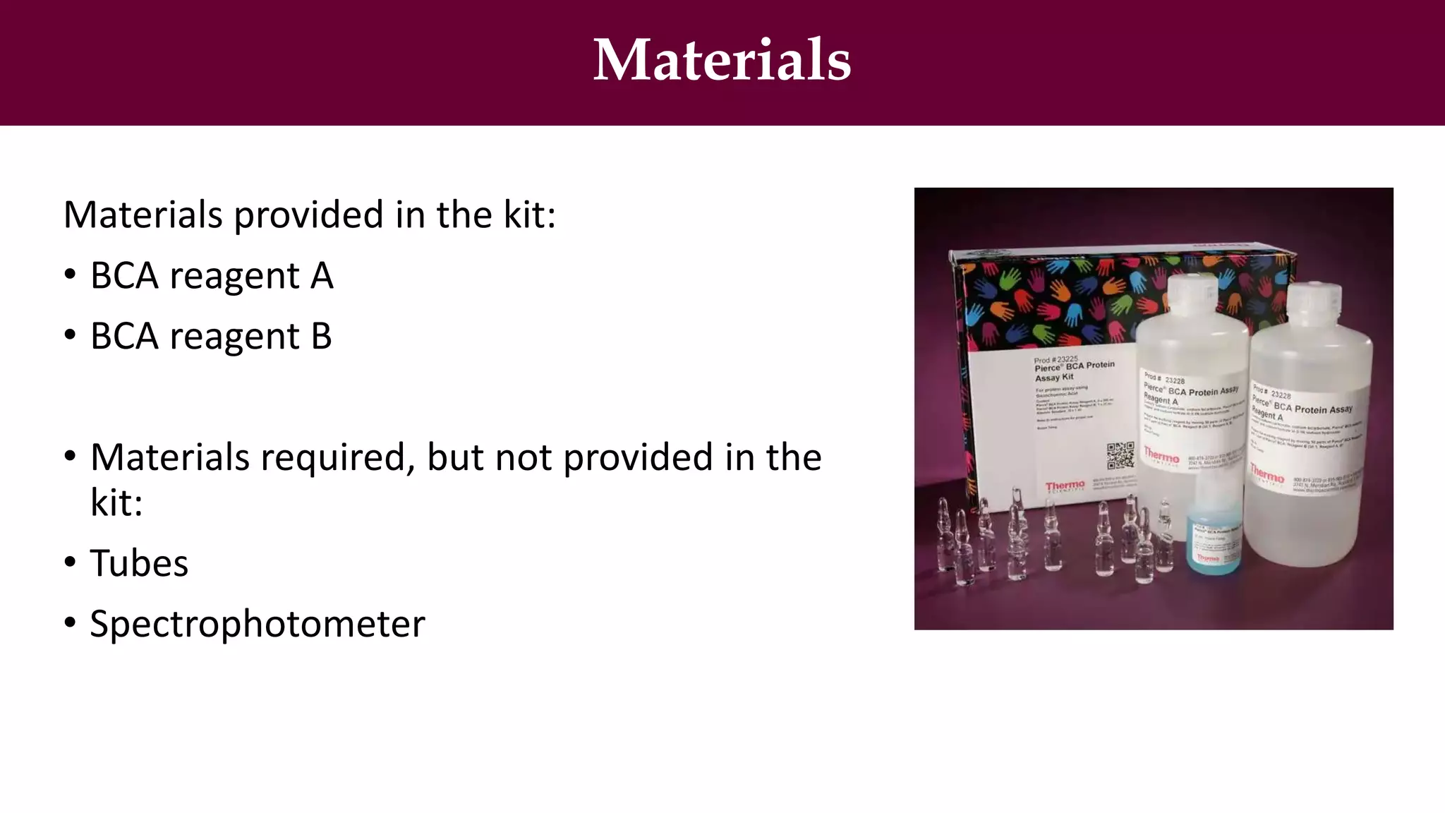 BCA and Western blot (1).pptx