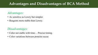BCA and Western blot (1).pptx