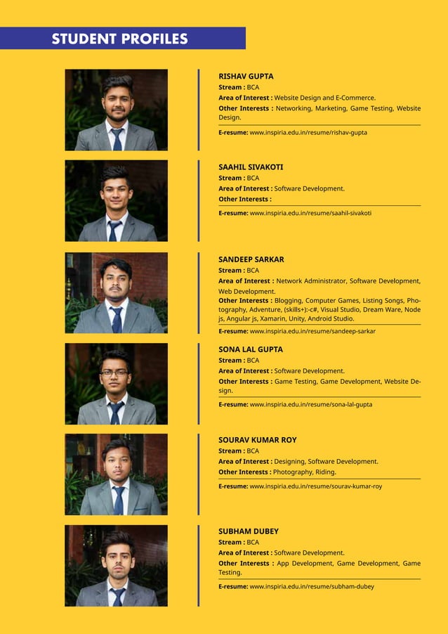 BCA Placement Brochure | Batch of 2016 | PDF