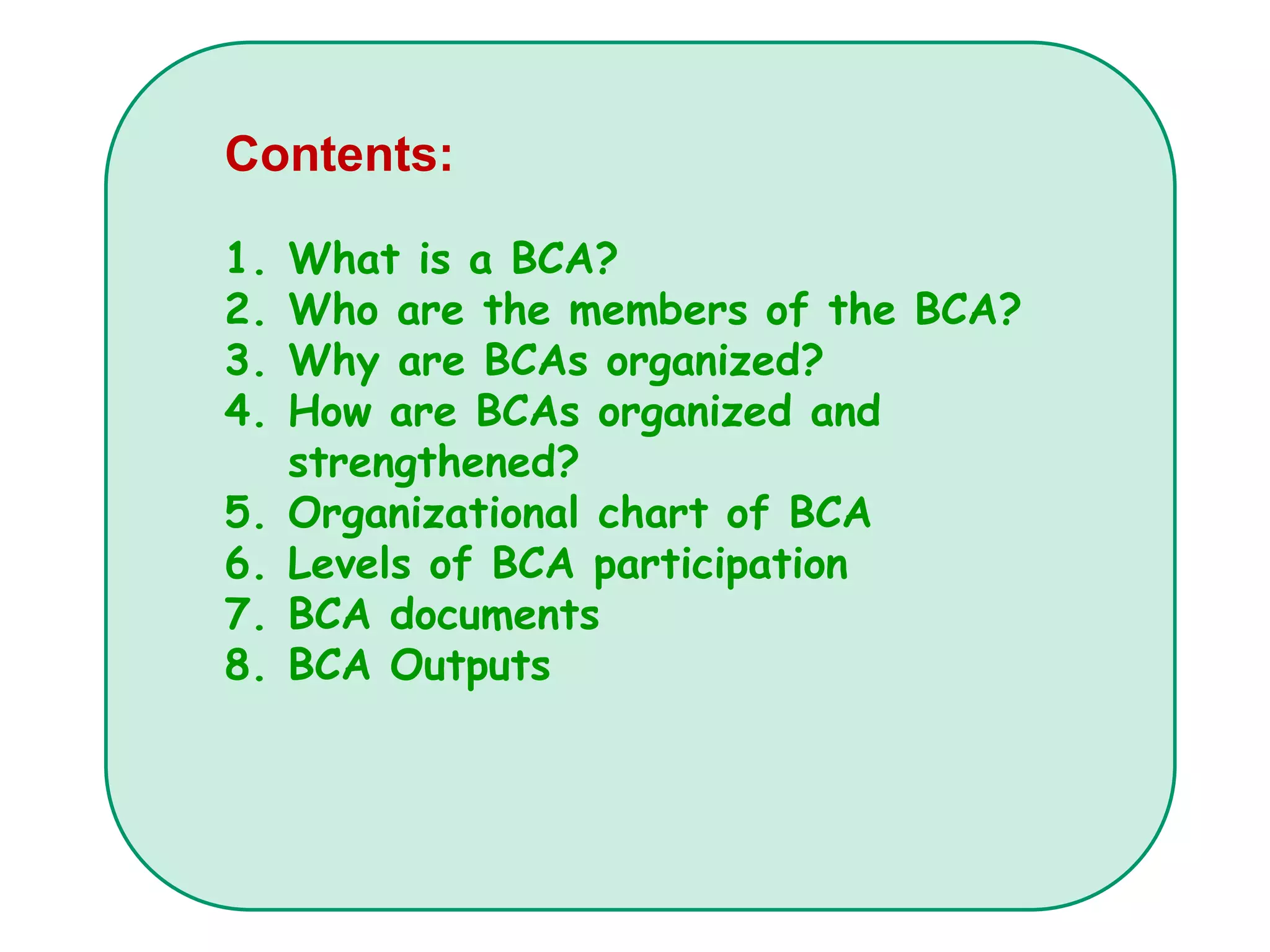 Barangay Children's Association (BCA), Philippines, child participation ...