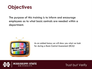 BCA_Presentation_2020.internal control pptx | PPTX
