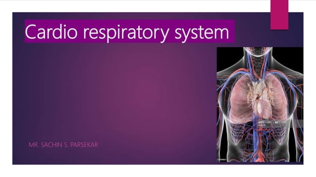 B)cardio respiratory systemj | PPT