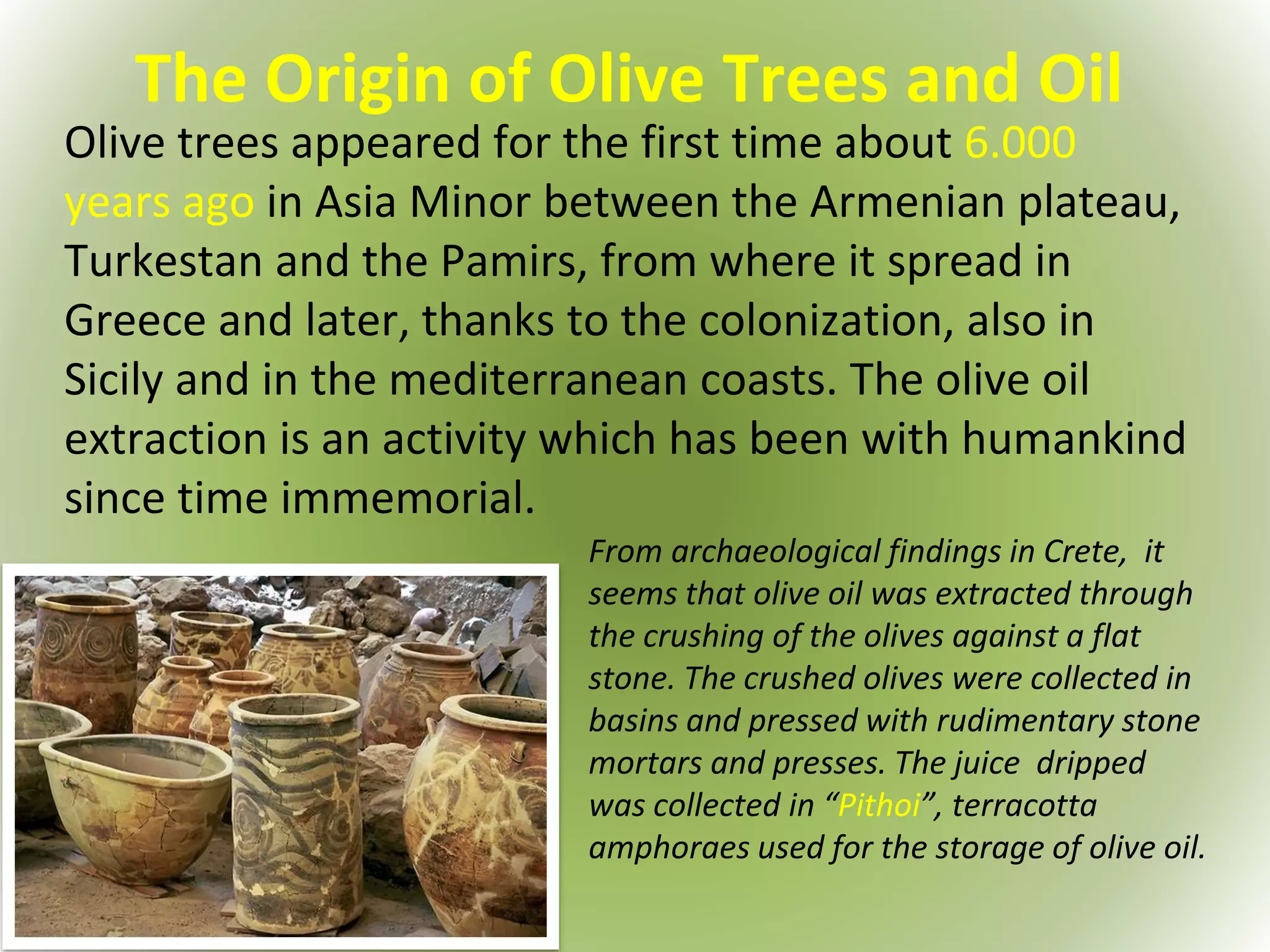 Olive oil | PPTX