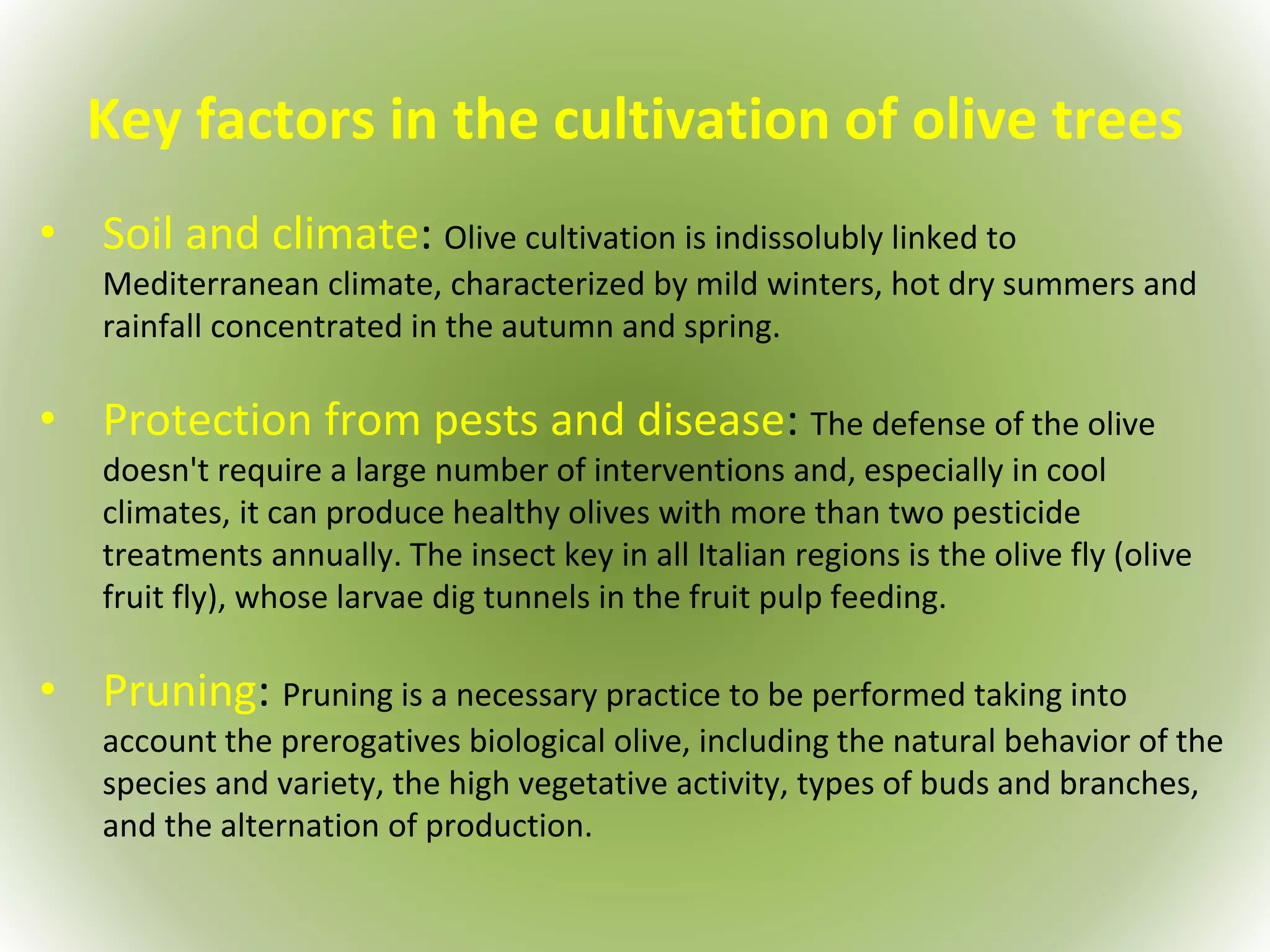 Olive oil | PPTX