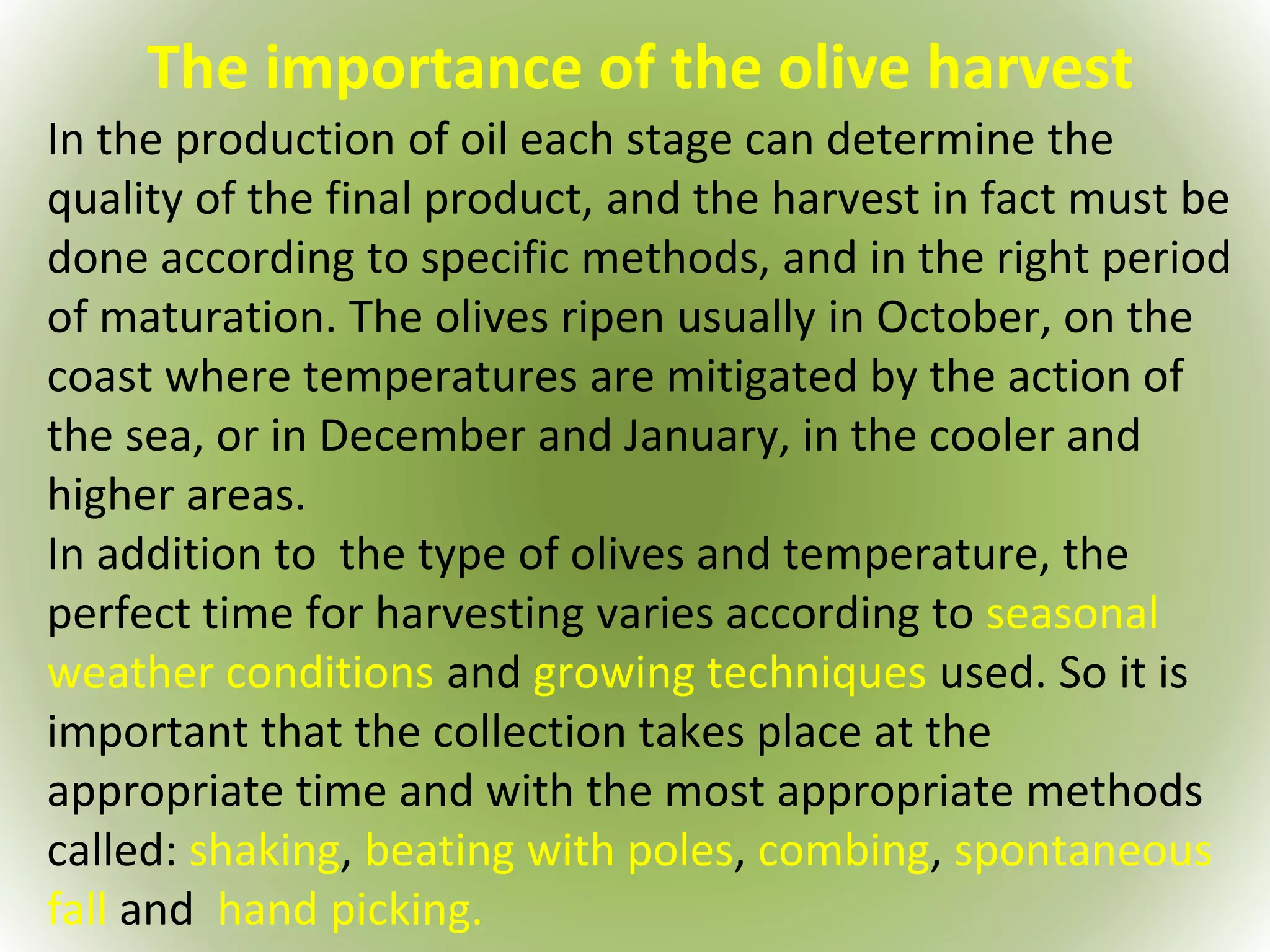 Olive oil | PPTX