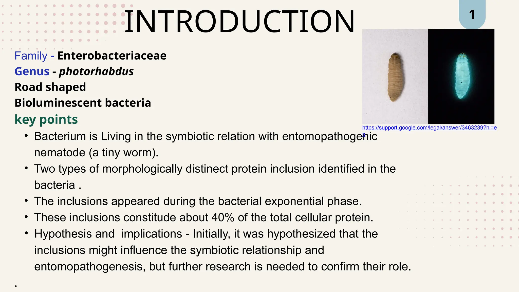 BCB Group Presentation.pptx Isolation & Characterization | PPTX