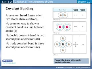 Biology 12 - Basic Chemistry - Section 2-1 and 2-2 | PPT
