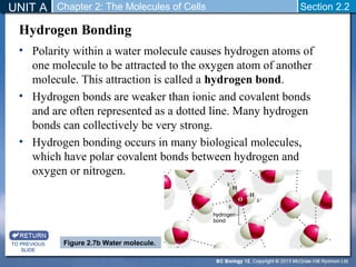 Biology 12 - Basic Chemistry - Section 2-1 and 2-2 | PPT