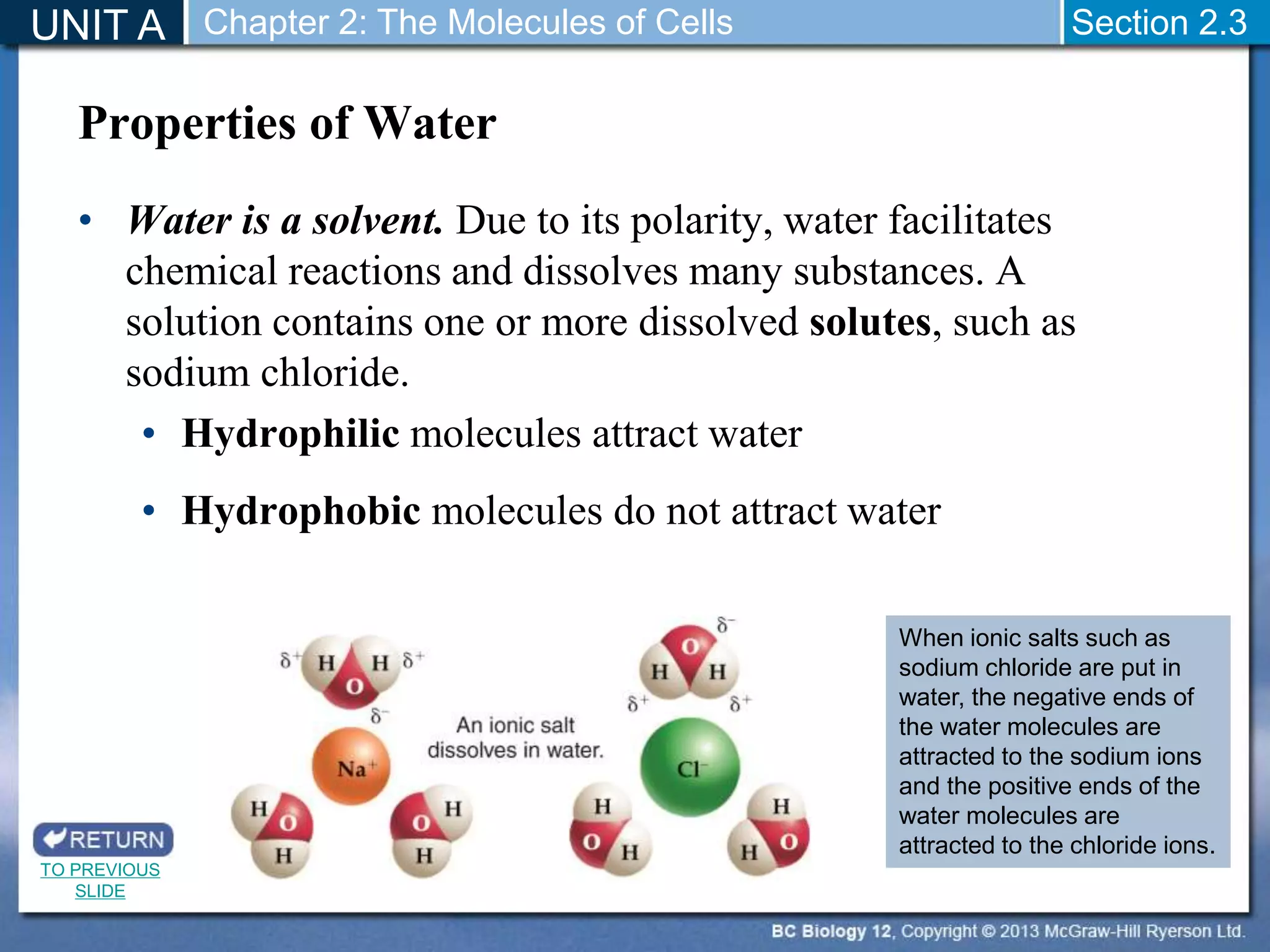 Biology 12 - Chemistry of Water and Carbon - Section 2-3 and 2-4 | PPT