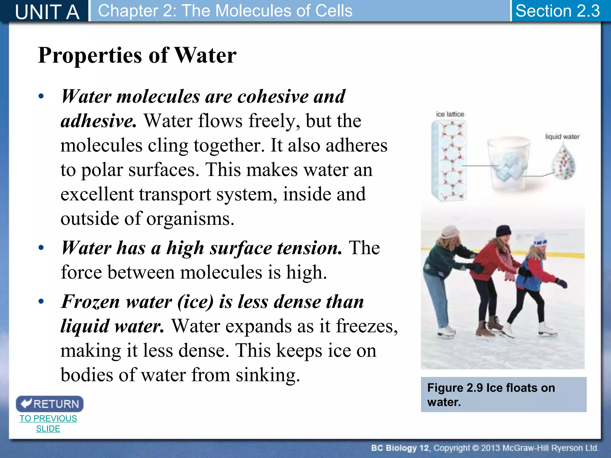 Biology 12 - Chemistry of Water and Carbon - Section 2-3 and 2-4 | PPT
