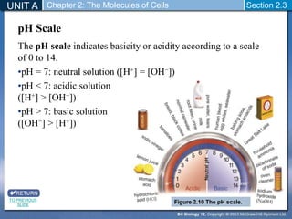 Biology 12 - Chemistry of Water and Carbon - Section 2-3 and 2-4 | PPT