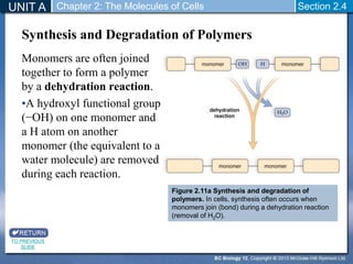 Biology 12 - Chemistry of Water and Carbon - Section 2-3 and 2-4 | PPT