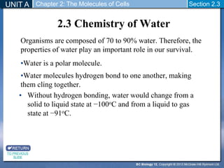 Biology 12 - Chemistry of Water and Carbon - Section 2-3 and 2-4 | PPT