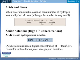Biology 12 - Chemistry of Water and Carbon - Section 2-3 and 2-4 | PPT