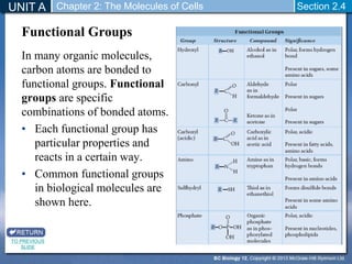 Functional Groups Biology