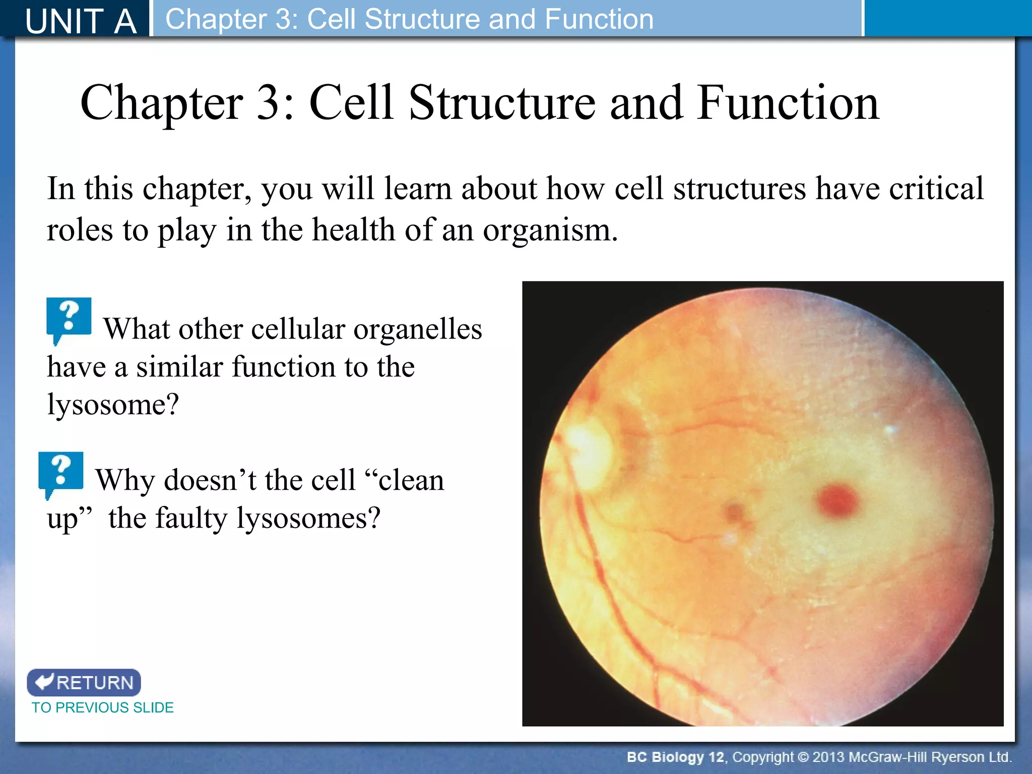 Biology 12 - Section 3-2 Cell Organelles | PPT