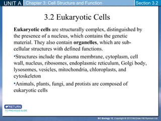 Biology 12 - Section 3-2 Cell Organelles | PPT