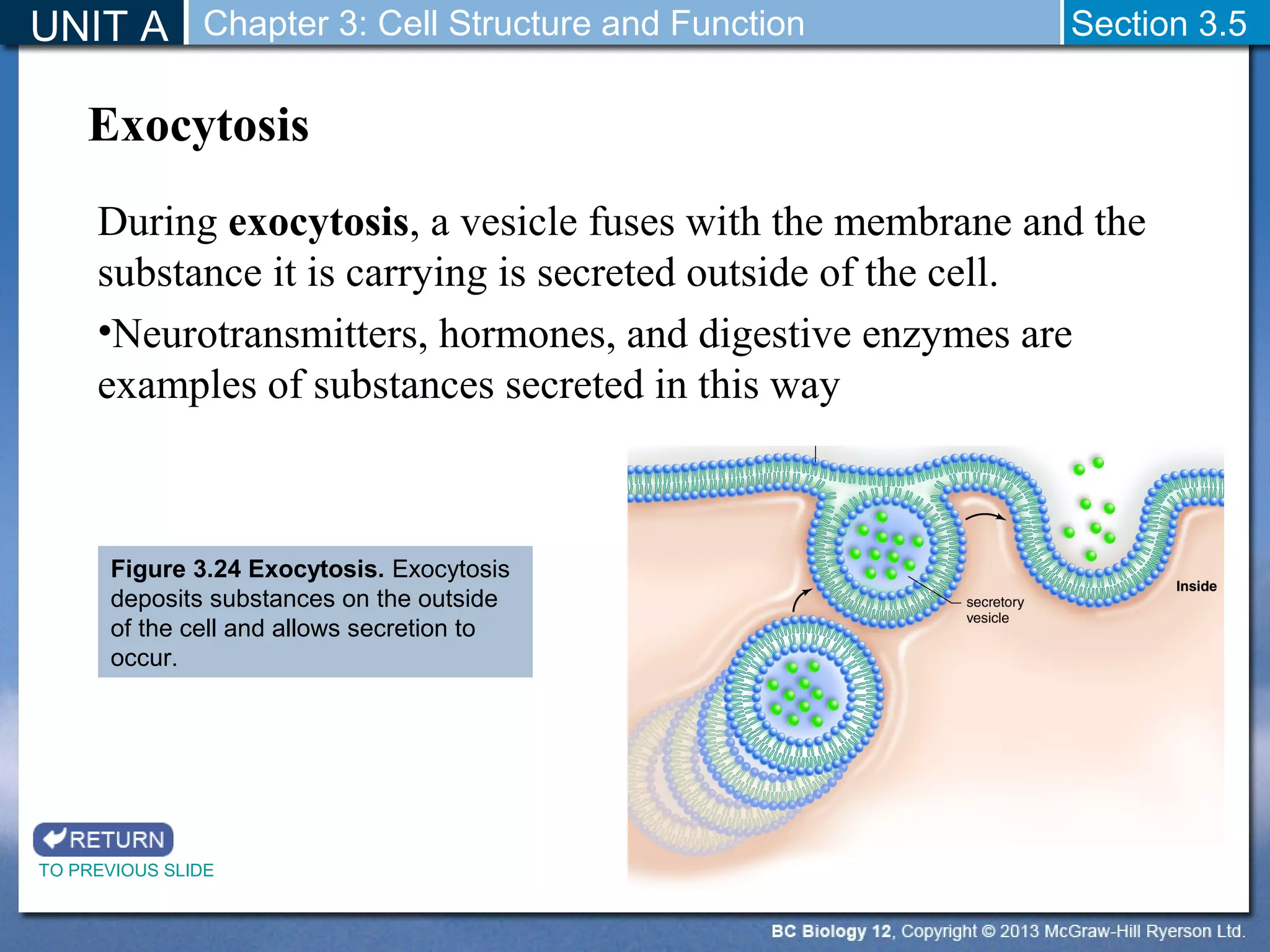 Biology 12 - Plasma Membrane Permeability - Section 3-5 | PPT