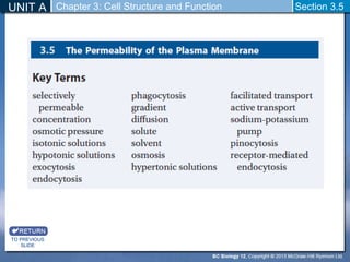 Biology 12 - Plasma Membrane Permeability - Section 3-5 | PPT