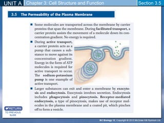 Biology 12 - Plasma Membrane Permeability - Section 3-5 | PPT