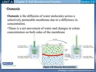 Biology 12 - Plasma Membrane Permeability - Section 3-5 | PPT
