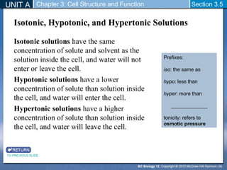 Biology 12 - Plasma Membrane Permeability - Section 3-5 | PPT
