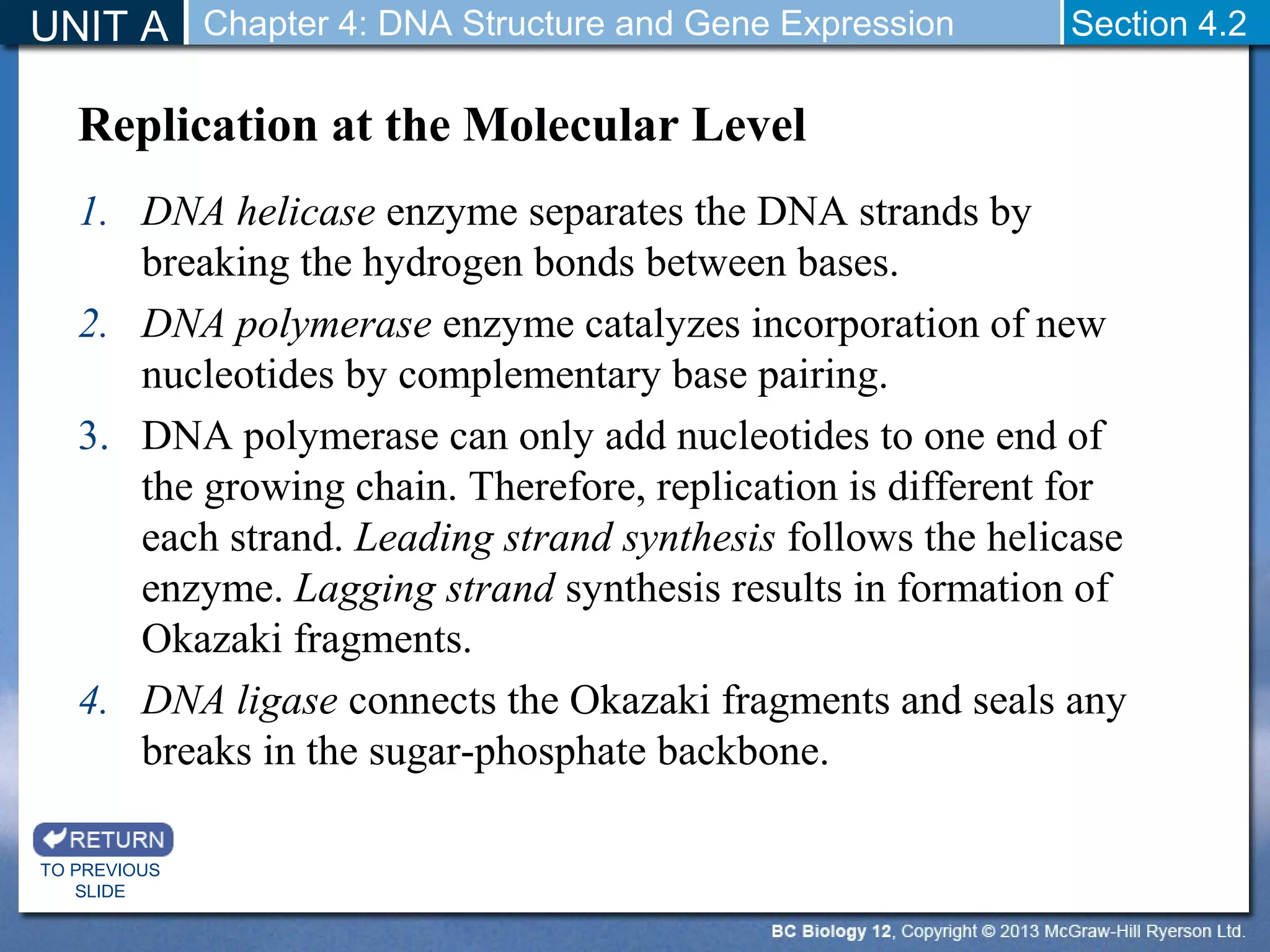 DNA Structure and Replication - Section 4-1 and 4-2 | PPT