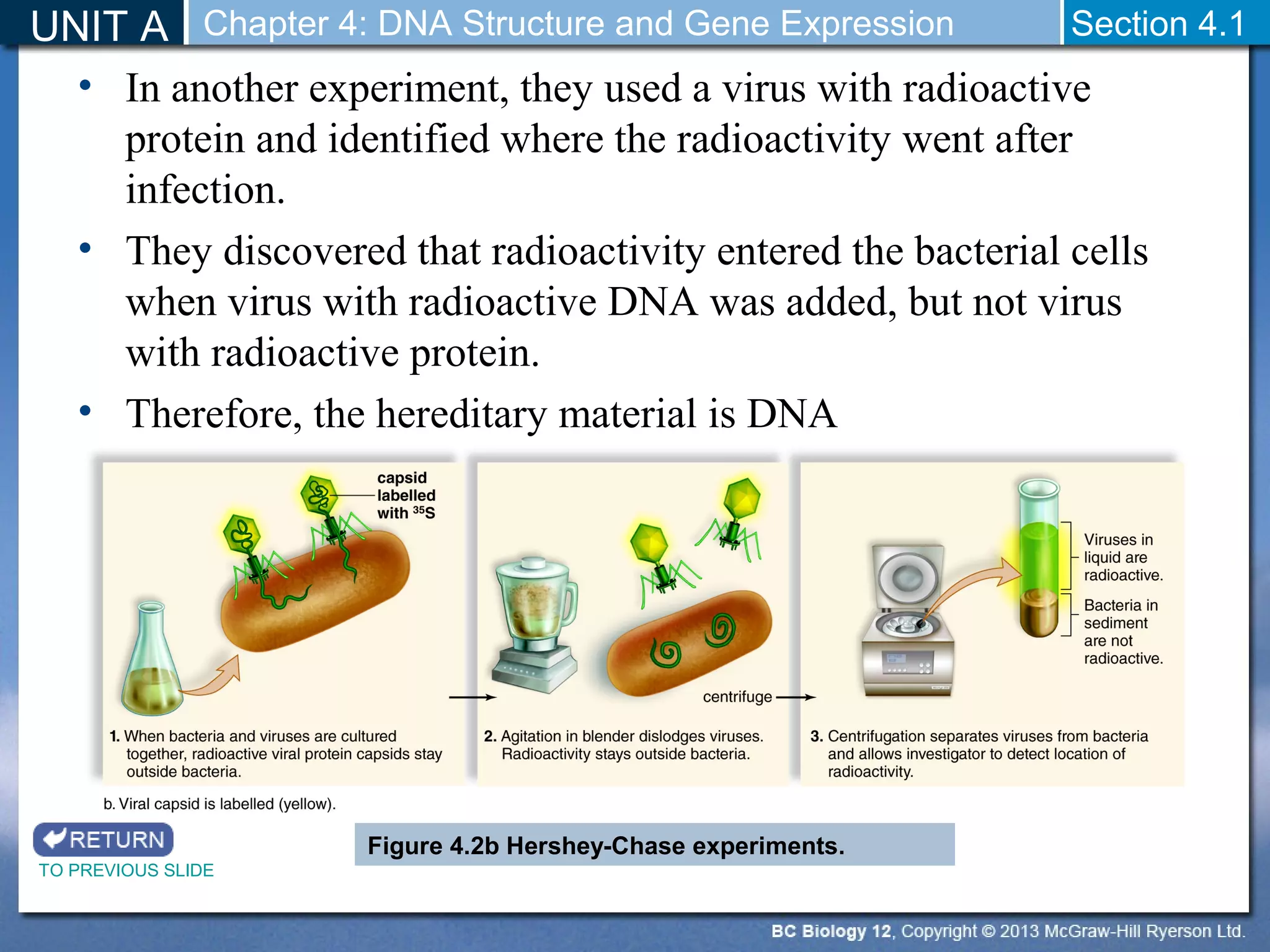 DNA Structure and Replication - Section 4-1 and 4-2 | PPT