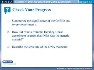 DNA Structure and Replication - Section 4-1 and 4-2 | PPT | Chemistry | Science
