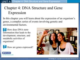 DNA Structure and Replication - Section 4-1 and 4-2 | PPT | Chemistry ...