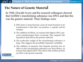DNA Structure and Replication - Section 4-1 and 4-2 | PPT | Chemistry | Science