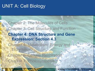 Bc bio12 chapter4_section4.3 | PPT