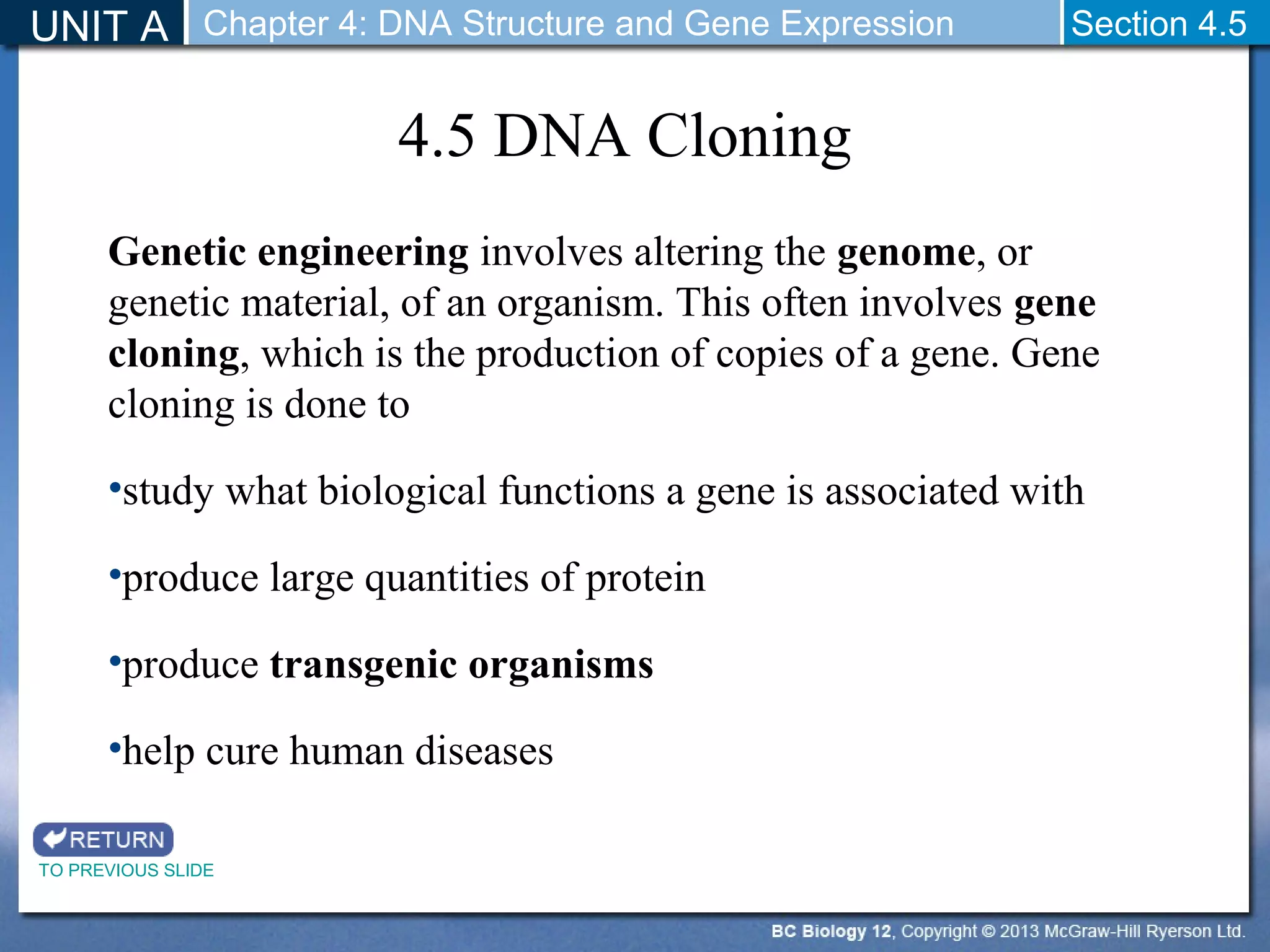 Biology 12 - DNA Mutations and Expression | PPT | Cancer | Diseases and Conditions