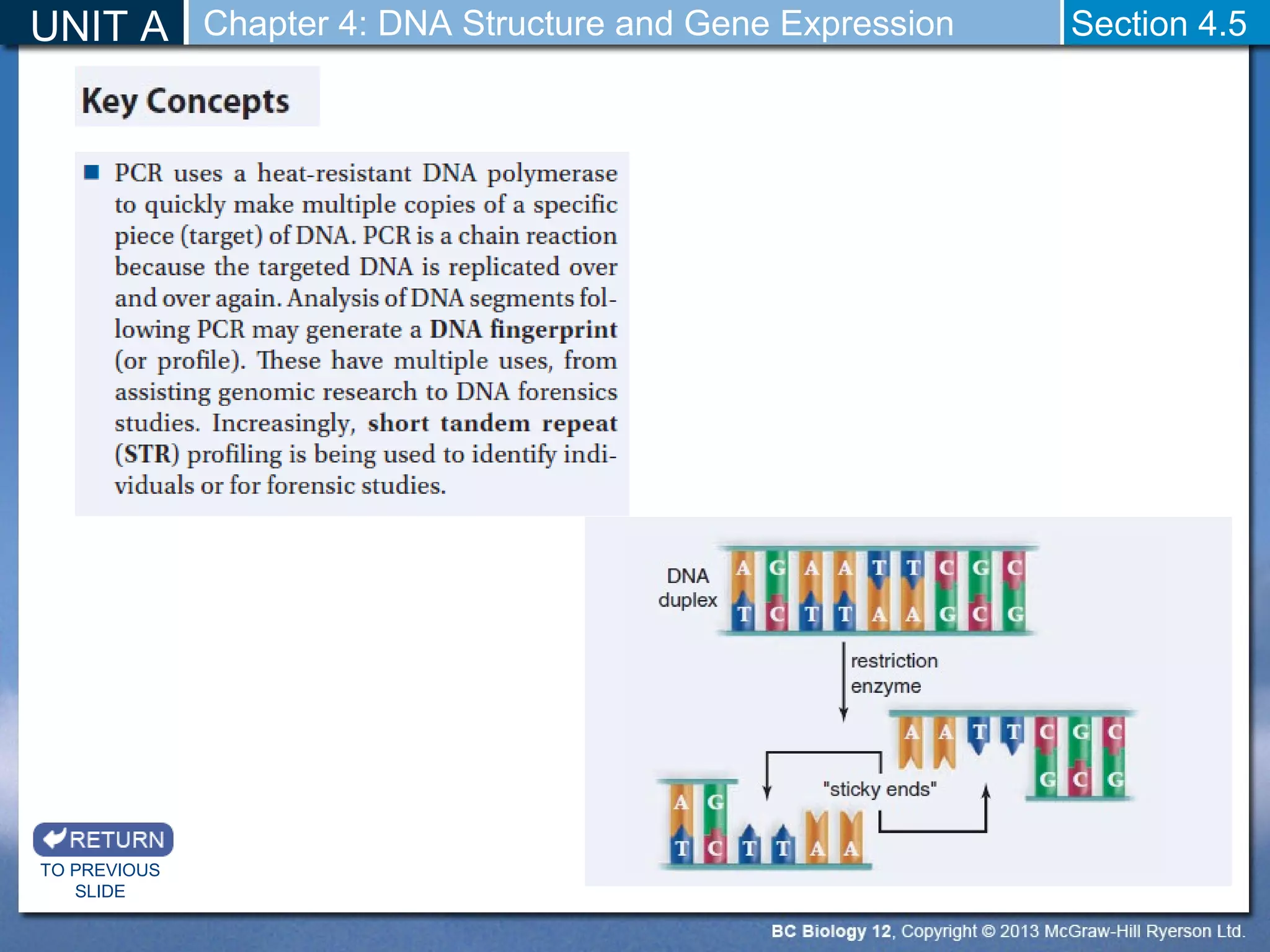 Biology 12 - DNA Mutations and Expression | PPT | Cancer | Diseases and Conditions