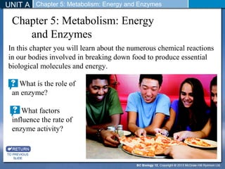 Biology 12 - Powerpoint - Energy Transformation - Section 5-1 | PPT